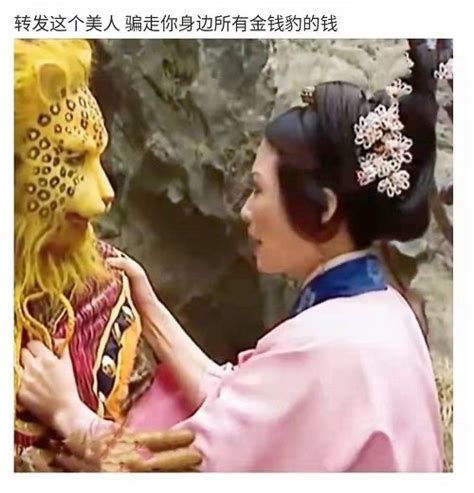 金钱豹表情包图片 西游记搞笑表情包金钱豹 配图网
