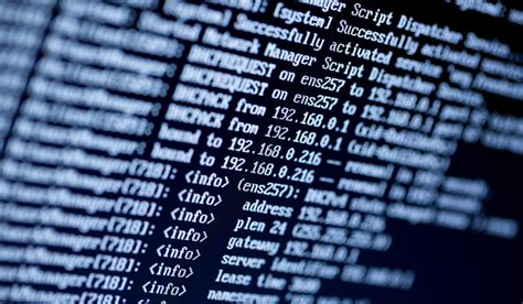 critical ping vulnerability allows to trigger denial of service in