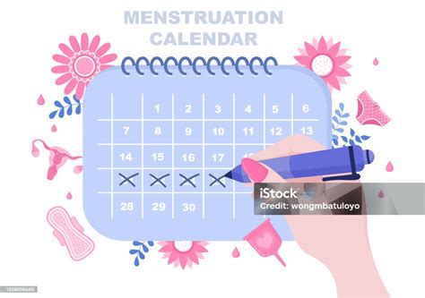 생리 기간 달력 여성은 날짜 주기를 확인합니다 생식 기관 여성 생리대 및 의학의 그림 건강관리와 의술에 대한 스톡 벡터 아트 및 기타 이미지 건강관리와 의술 건강한