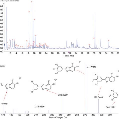 the phytochemical profile of gme using hplc q tof ms ms a the base