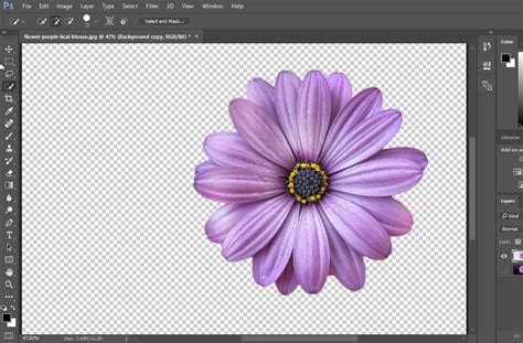 How To Invert Selection In Photoshop