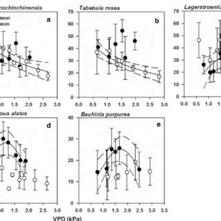 Tree species with sensitive responses of the CO 2 absorption A μmol m Download Scientific