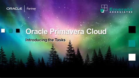 Oracle Primavera Cloud Introducing The Tasks