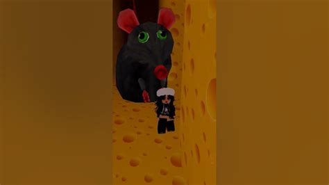 باك رومز🐁🐀😭 Youtube