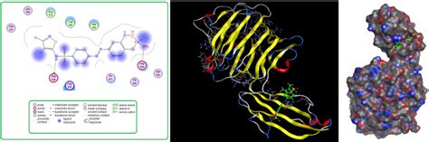 2d Binding Interaction Left 3d Binding Interaction Middle And Download Scientific Diagram