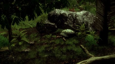 FREE Introducing Amplify Occlusion Ground Truth Ambient Occlusion Up To X Faster