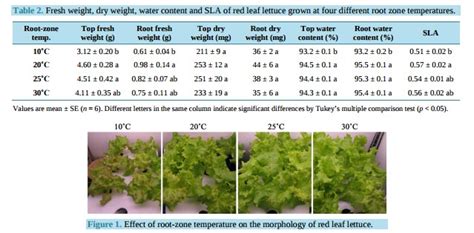 What Is The Ideal Nutrient Solution Temperature In Hydroponics
