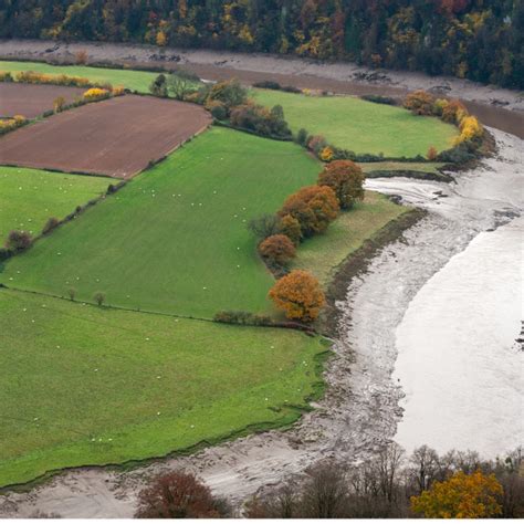 Role of Woodlands ᐉ Fighting Flooding Effectively