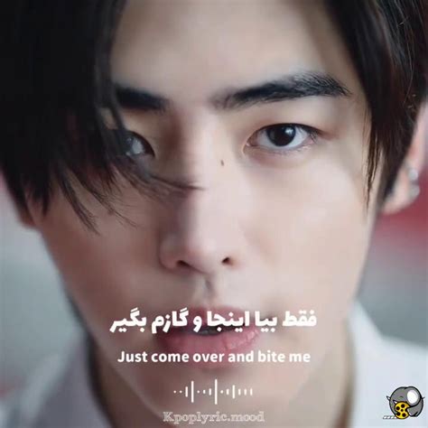 بی تی اس ارمی Bts فیلو