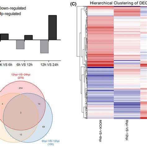 Statistics Of The RNA Seq Datasets Download Scientific Diagram
