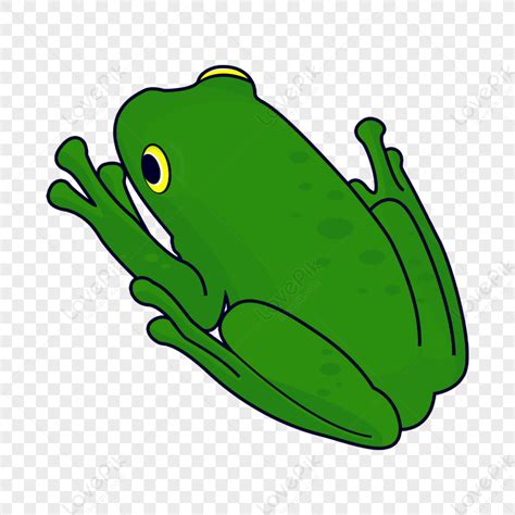 개구리 일러스트 녹색 클립 아트 요소줄무늬청개구리 Png 일러스트 무료 다운로드 Lovepik