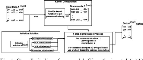Figure 1 From Informative Initialization And Kernel Selection Improves T Sne For Biological