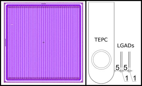 Panel A Design Of One Lgad Sensor With 34 Active Strips Panel B Download Scientific