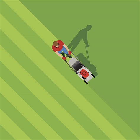 Best Grass Top View Illustrations Royalty Free Vector Graphics And Clip Art Istock