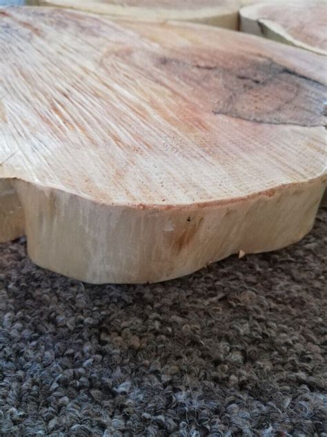 6 Beautiful Shaped Log Slices In Southampton Hampshire Gumtree