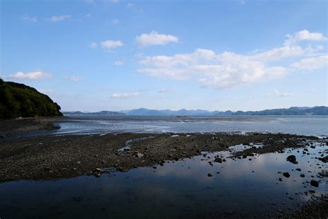 手つかずの自然が育む超貴重な生態 広島 ハチの干潟編 熱源プロジェクト