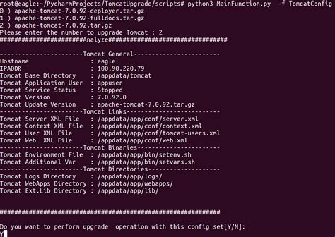 Apache Tomcat 8 Classpath Paaslift