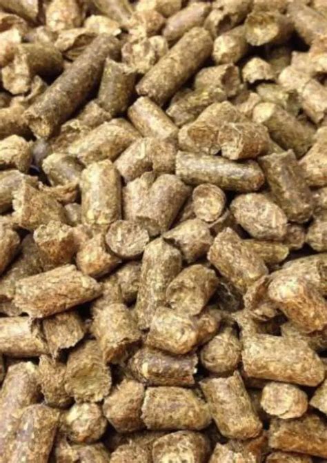 Ultimate Guide To Choosing The Best Organic Potassium Fertilizer For Your Plants