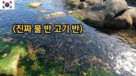 물고기 떼가 사는 사찰 휴휴암 스쿠터 타고 전국일주26 Youtube