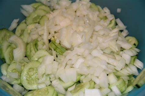 Creamy Cucumber Salad Bitz Giggles