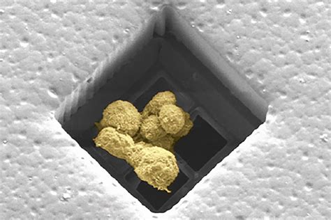Winship And Georgia Tech Researchers Develop Technology To Better Detect Circulating Tumor Cell