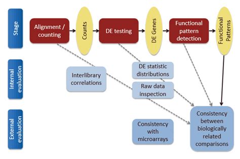 Making Sense Of RNA Seq Data From Low Level Processing To Functional Analysis RNA Seq Blog
