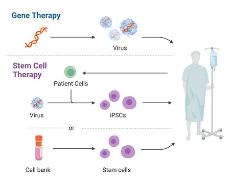 Gene And Cell Therapy