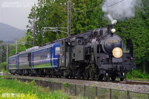 2nd train 東武SL大樹DL大樹 新色ニッコウキスゲカラーヘッドマークを取り付け開始の写真 TopicPhotoID 73119