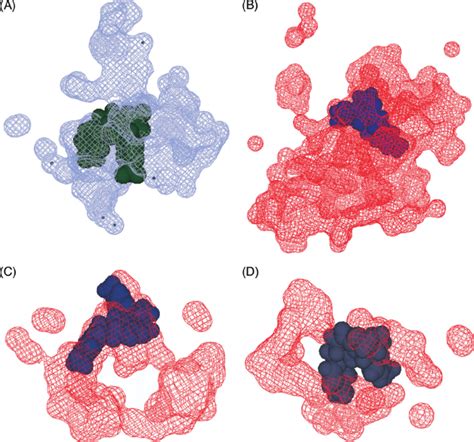 Predicted Binding Models For Compound 7 Green In The Binding Site Of Download Scientific