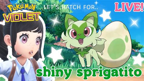 Live Lets Hatch Eggs For Shiny Sprigatito Playing Pokemon Violet
