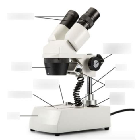 Dissecting Microscope Diagram Quizlet
