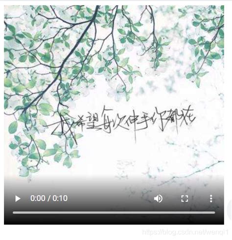 Html插入视频和音频网页怎么导入视频 Csdn博客