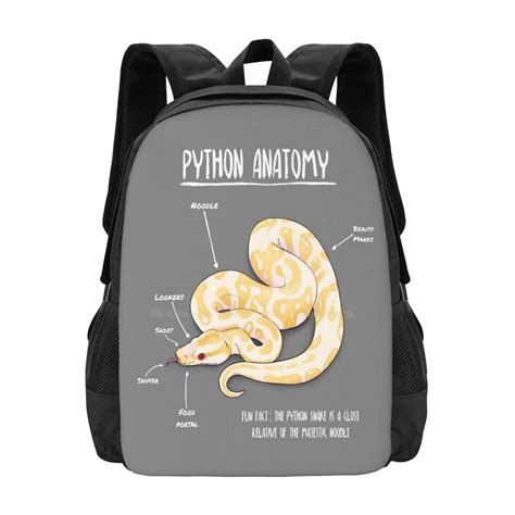 Ball Python Anatomy