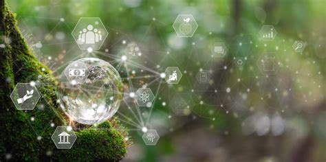 The New Age Of Forest Monitoring A Common European Forest Monitoring System In A Global