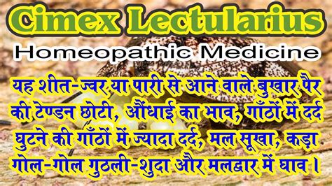 Cimex Lectularius Homeopathic Medicine Bydrncghosh Youtube