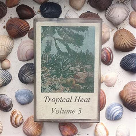 Amazon Musicでvarious Artistsのtropical Heat Volume 3を再生する