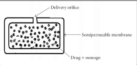 Elementary Osmotic Pump Download Scientific Diagram