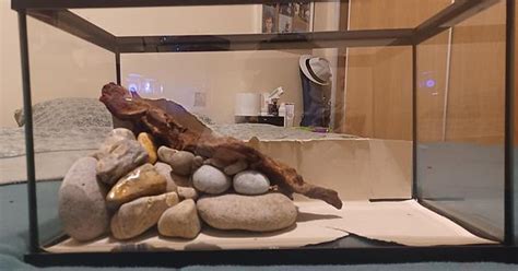 Triangular Layout Album On Imgur