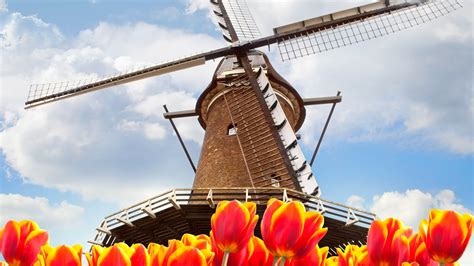 Tulips And Windmills 2028 Itinerary Amsterdam To Amsterdam Viking®
