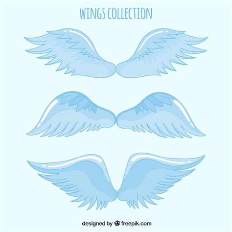 3 페이지 날개 일러스트 벡터 Freepik에서 무료 고품질 벡터를 다운로드하세요 Freepik