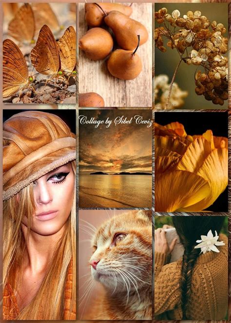 Pin By Lmmvillanueva On Color Inspiration Color Schemes Colour