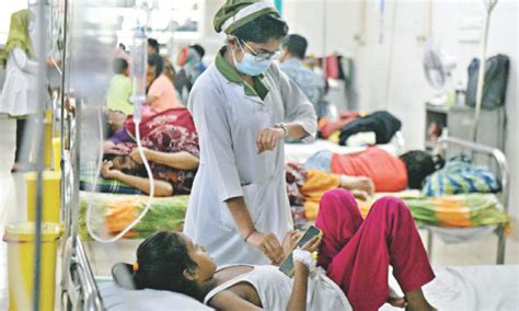 ডেঙ্গু হলে করণীয়