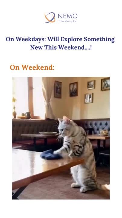 Nemo It Solutions Inc On Linkedin Employee Windows Windowsexplorer Weekend Weekendplan