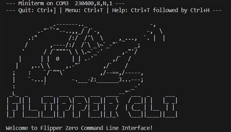 Getting Ansi Colors In The Vscode Terminal Rvscode