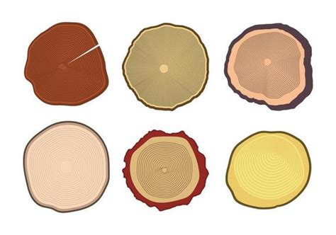 Tree Rings Vector Art Icons And Graphics For Free Download