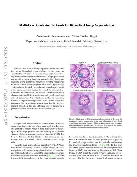 Multi Level Contextual Network For Biomedical Image Segmentation Deepai