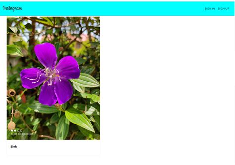 Instagram Clone Using React Js This Is My Instagram Clone With Full