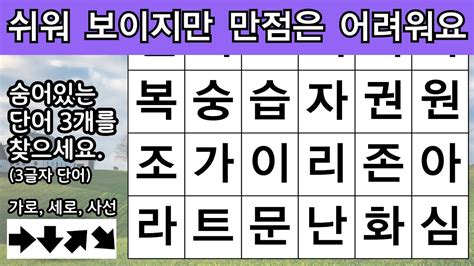 쉬워 보이지만 만점은 어려워요 치매예방퀴즈 치매예방활동 숨은단어찾기 집중력향상 단어퀴즈 Youtube