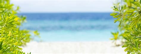 Beach Teams Background Images Free Download On Freepik
