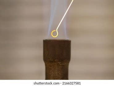 Closeup Detail Inoculation Loop Being Sterilized Stock Photo Shutterstock